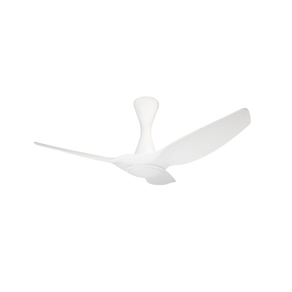 PO ECO DC SMART Ceiling Fan: Cyclone VSPEC-II (Japan NSK) – Sit And Tap